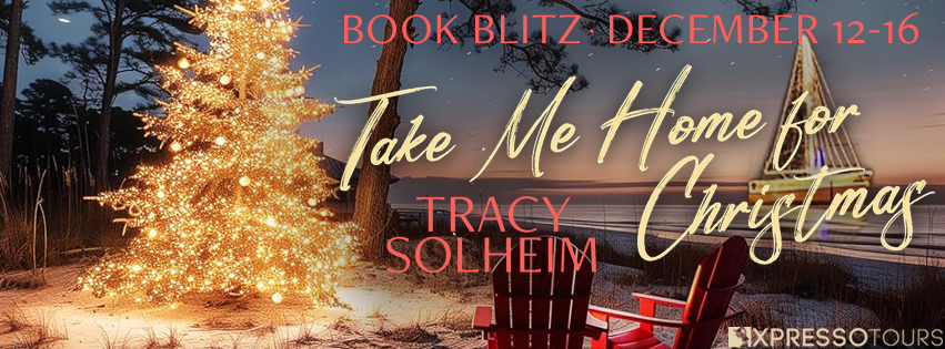 Take Me Home for Christmas by Tracy Solheim